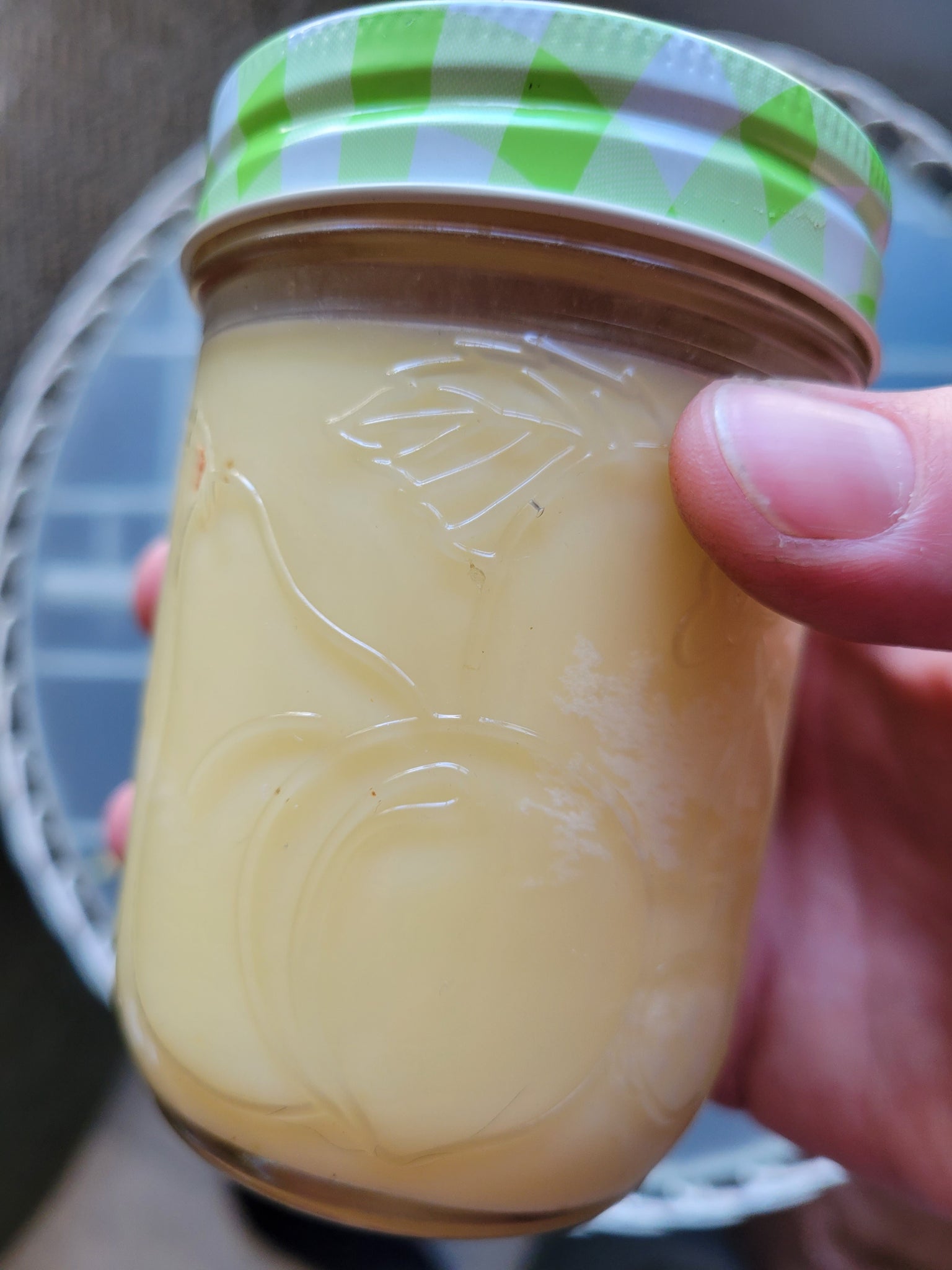 Beef unrendered fat – Aurora View Farms